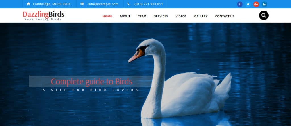 40 Free Animal & Pets Website Template For Animal Based Sites 2021