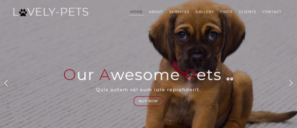 40 Free Animal & Pets Website Template For Animal Based Sites 2021