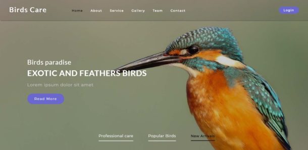 40 Free Animal & Pets Website Template For Animal Based Sites 2021