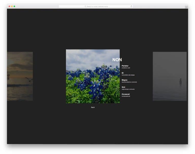 39 Best CSS Accordion Examples 2025 - uiCookies