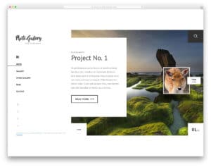 45 Free Photo Gallery Templates To Elegantly Display Your Work