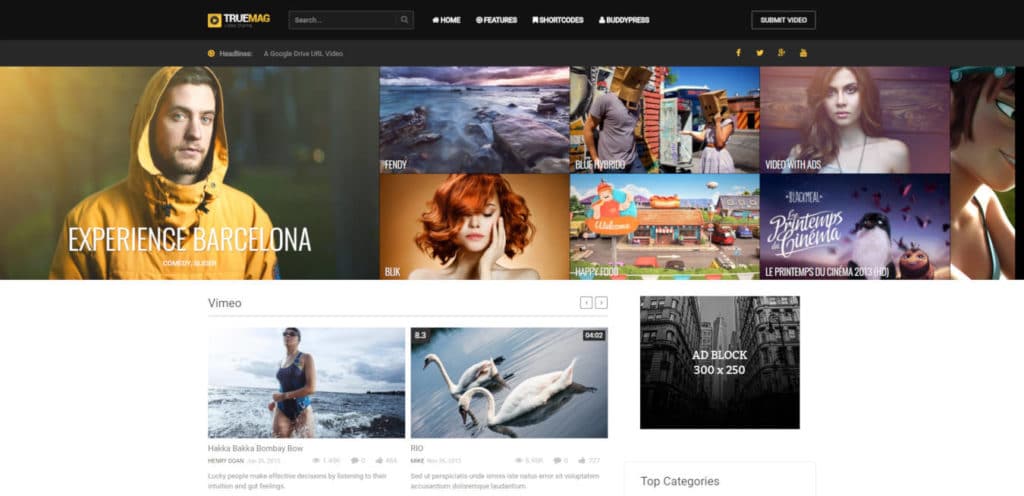 24 Premium Video Website Templates & WordPress Themes For Creative ...