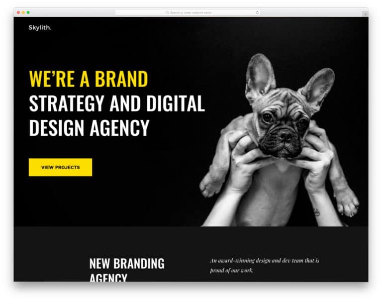 35 Best Visual Studio Website Template 2025 - uiCookies