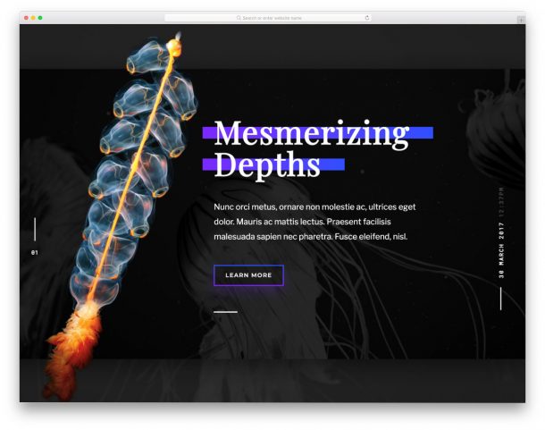 38 Bootstrap Cards Examples For Natural And Fluid User Experience