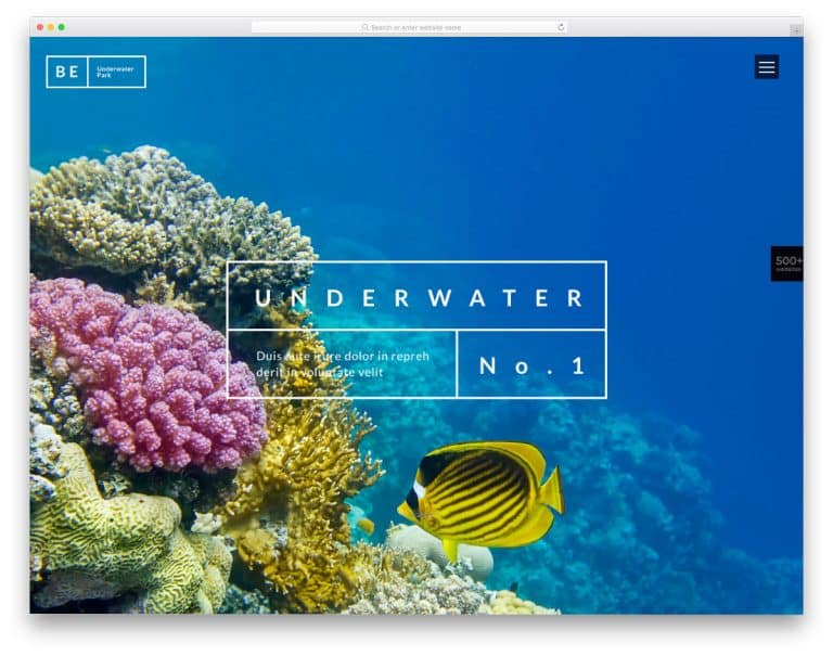 19 Lively Scuba Diving Templates 2022 - uiCookies